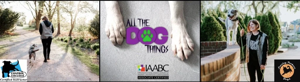 All The Dog Things