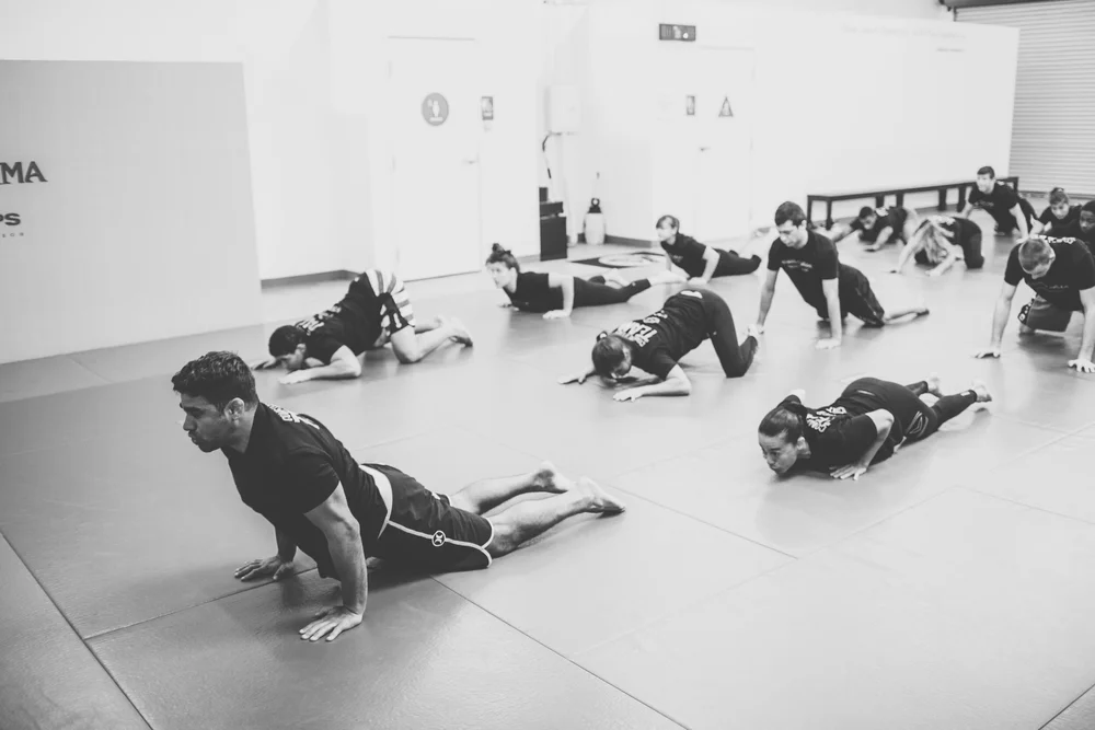 U.Natural Certification Courses — U.NATURAL