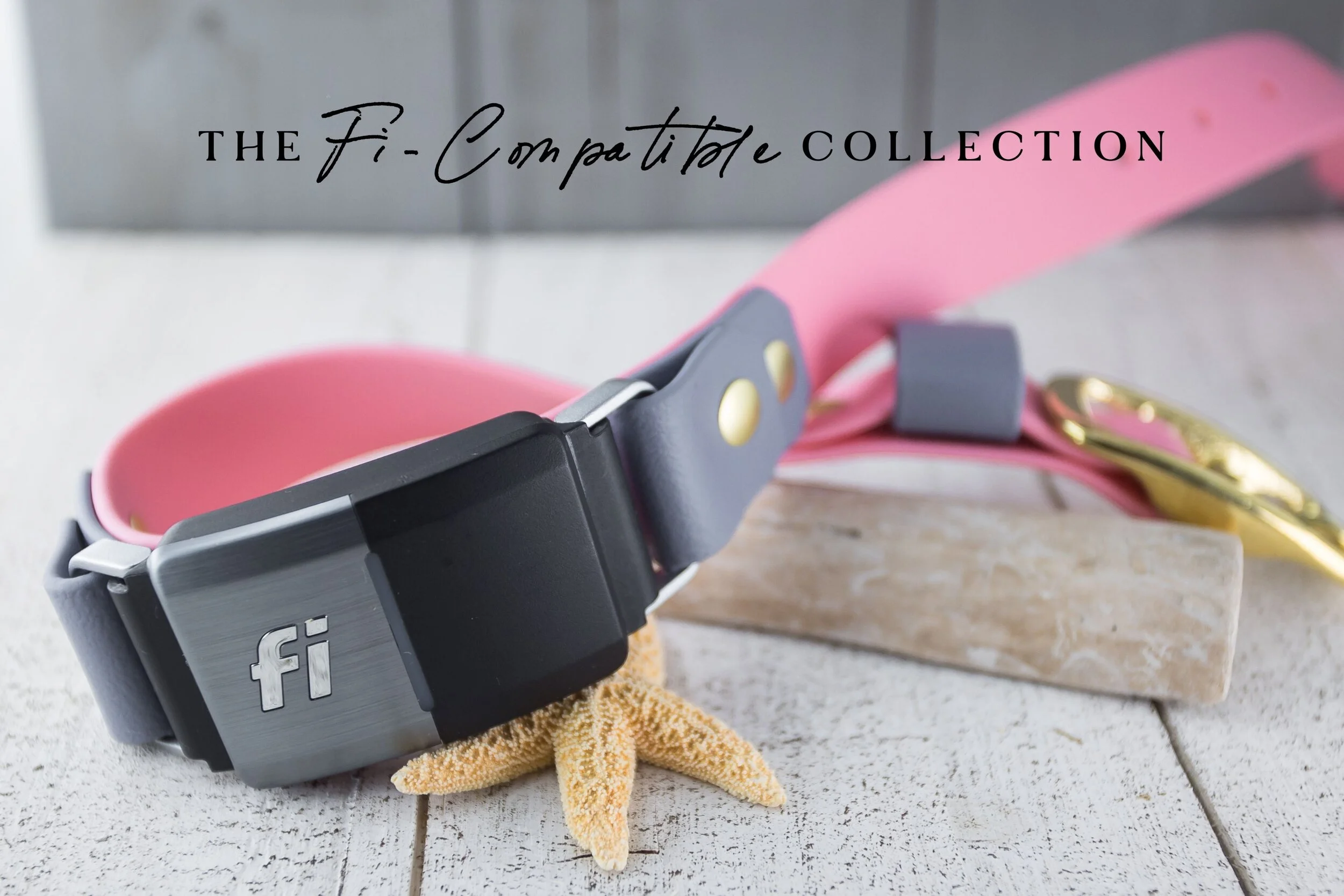 Fi Compatible Collar — Oliver & Ash Designs