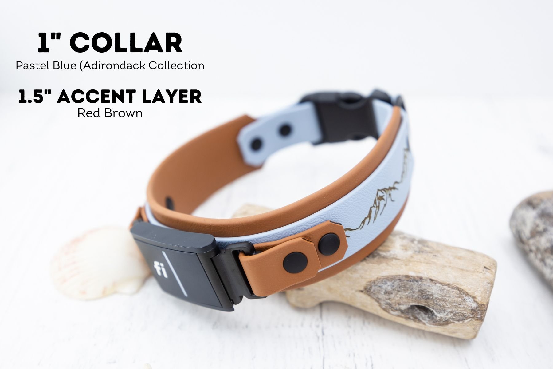 Best Biothane Fi Collar [Waterproof and Customized] — Oliver & Ash Designs