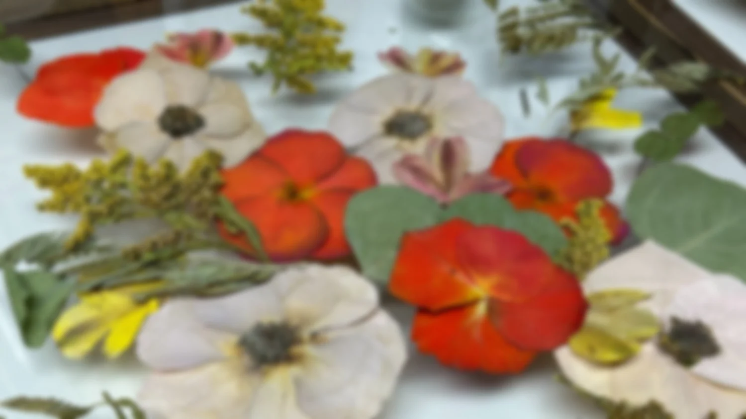 Flower Preservation || Fossil Flowers