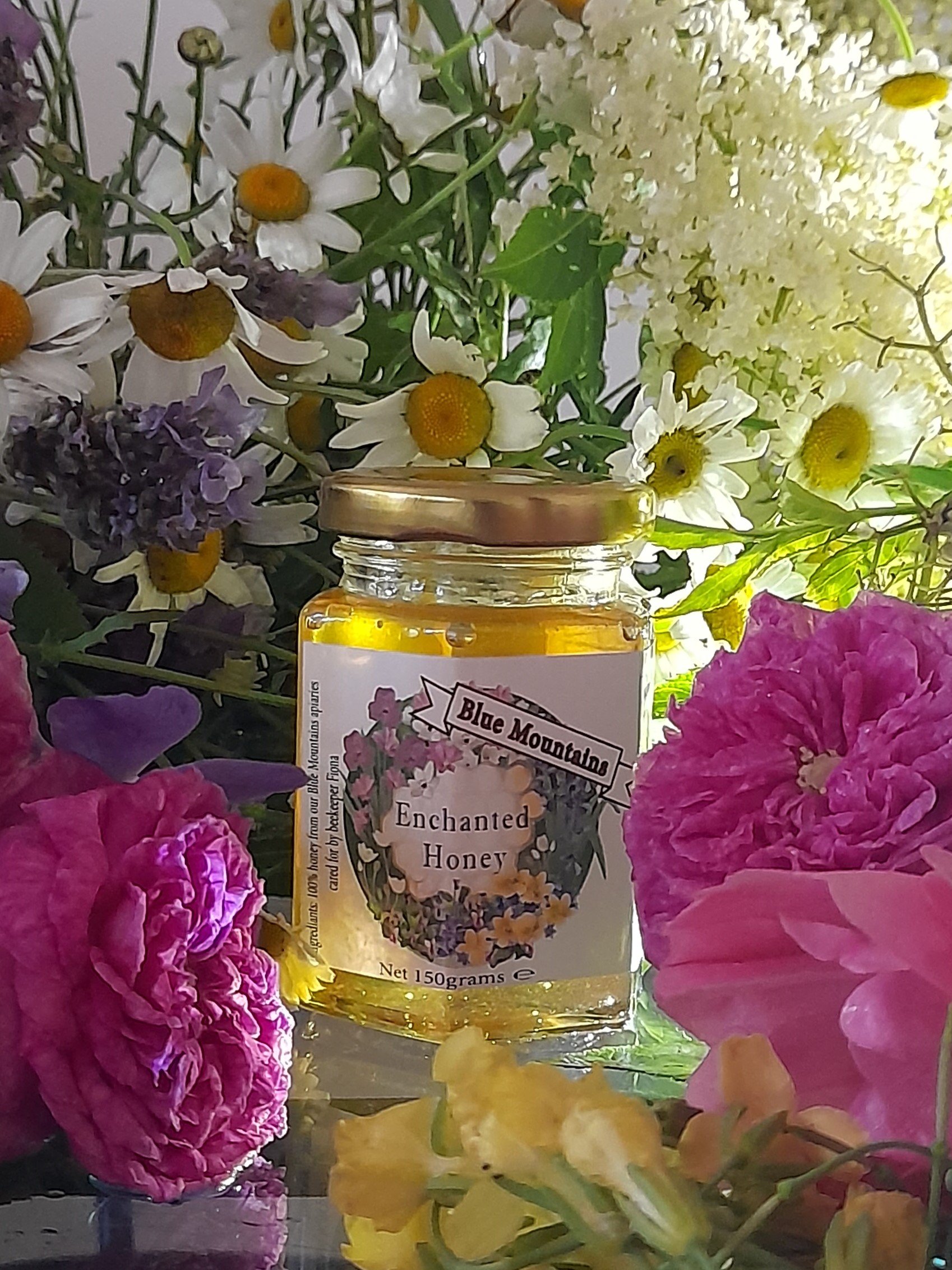 Bees and Honey for sale — Fifi's Bees