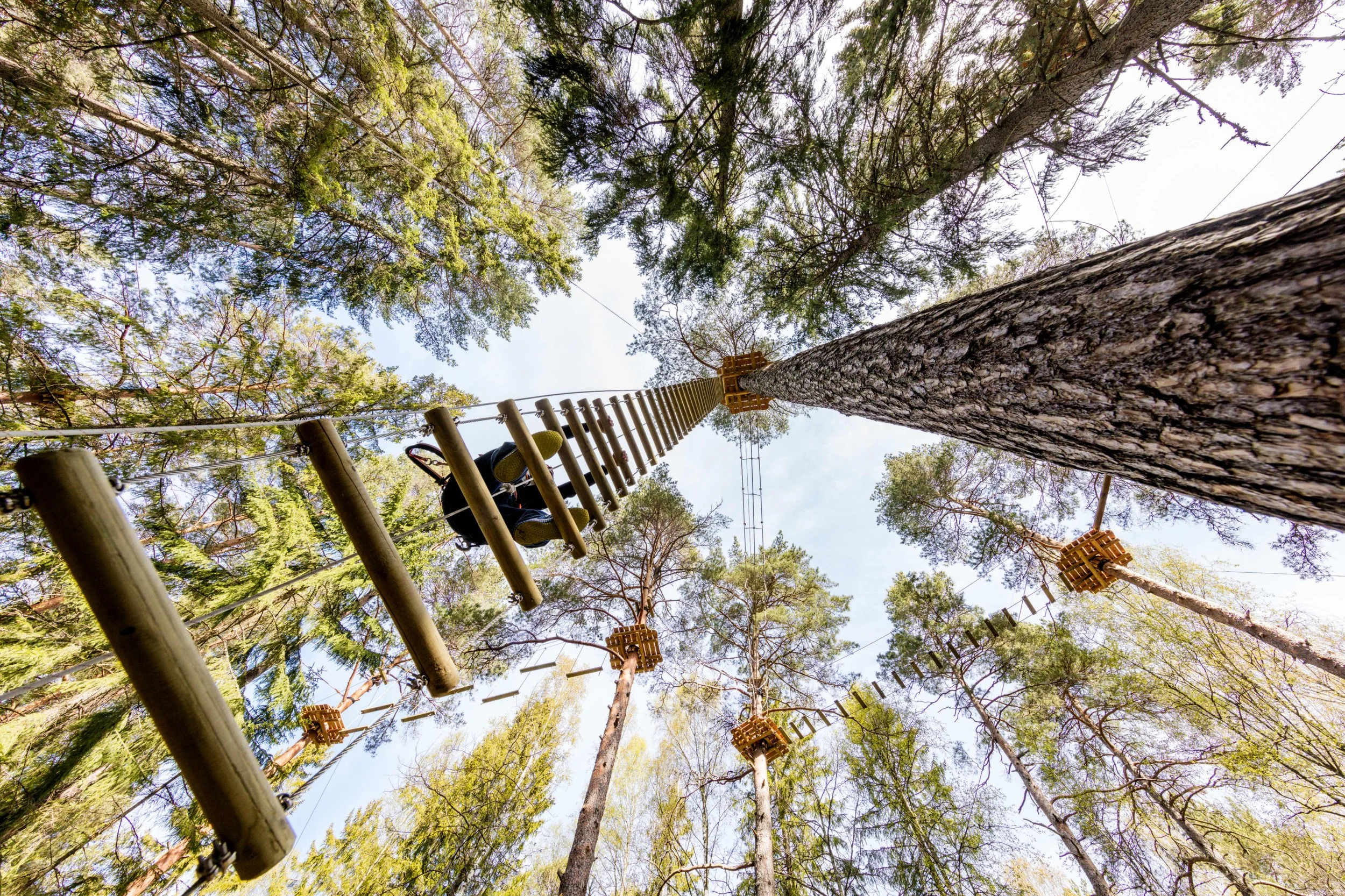 HaMa Adventures - Höghöjdsbanor, Escape Games & Teambuilding