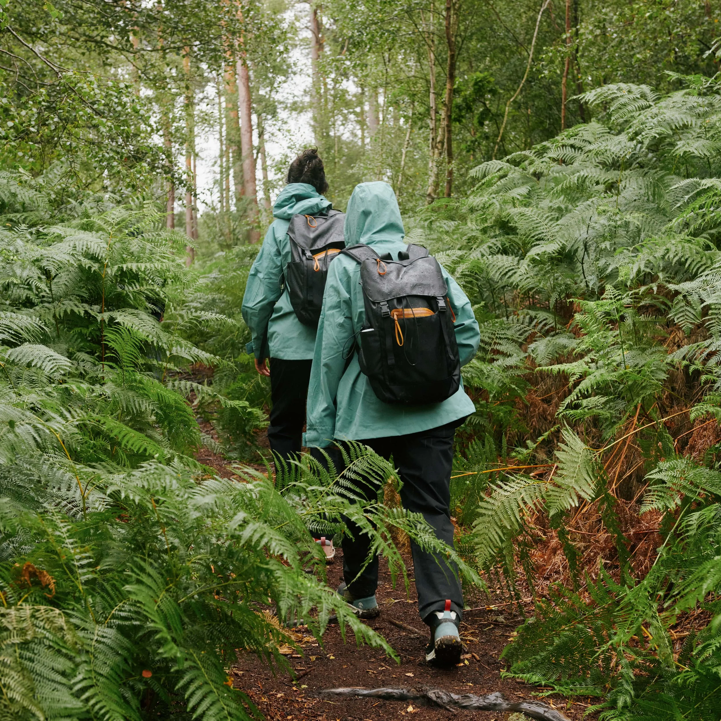 Timberland A hike from city doors to the great outdoors — Seen Studios