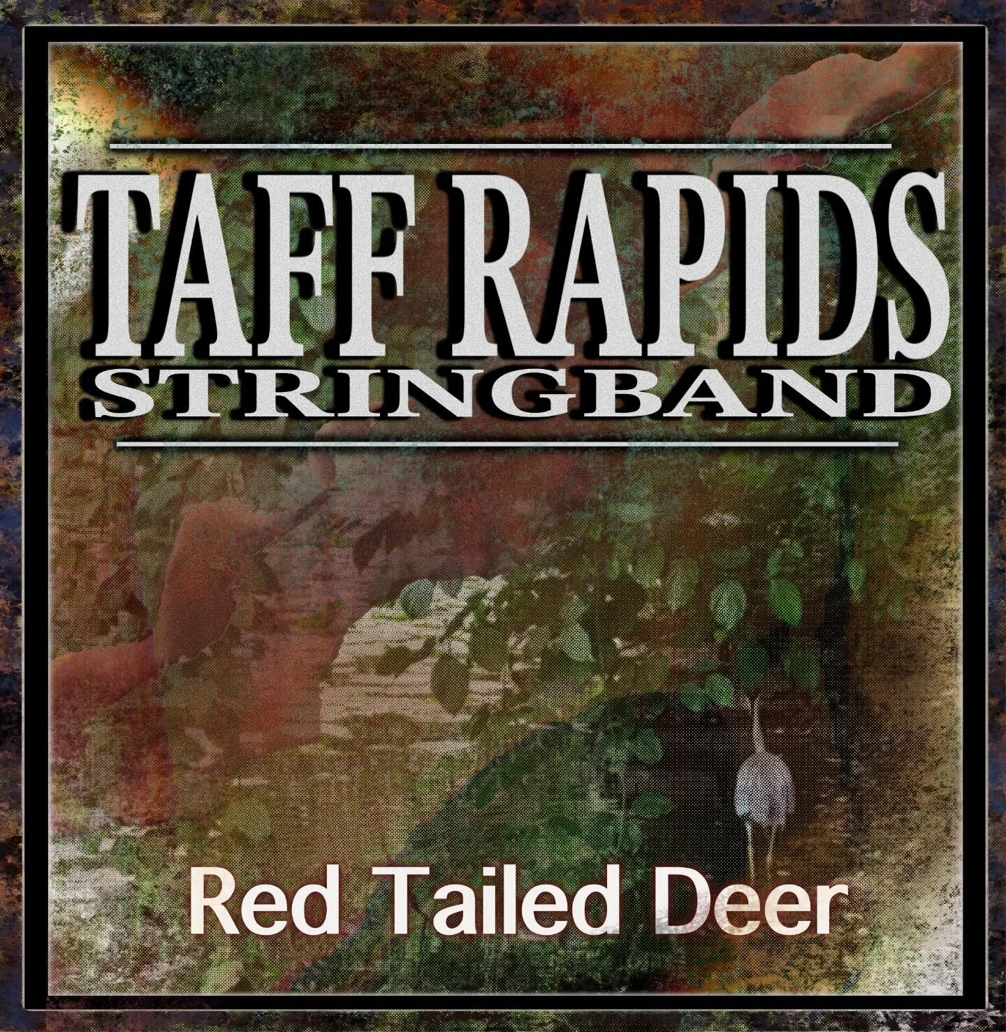 TAFF RAPIDS STRINGBAND