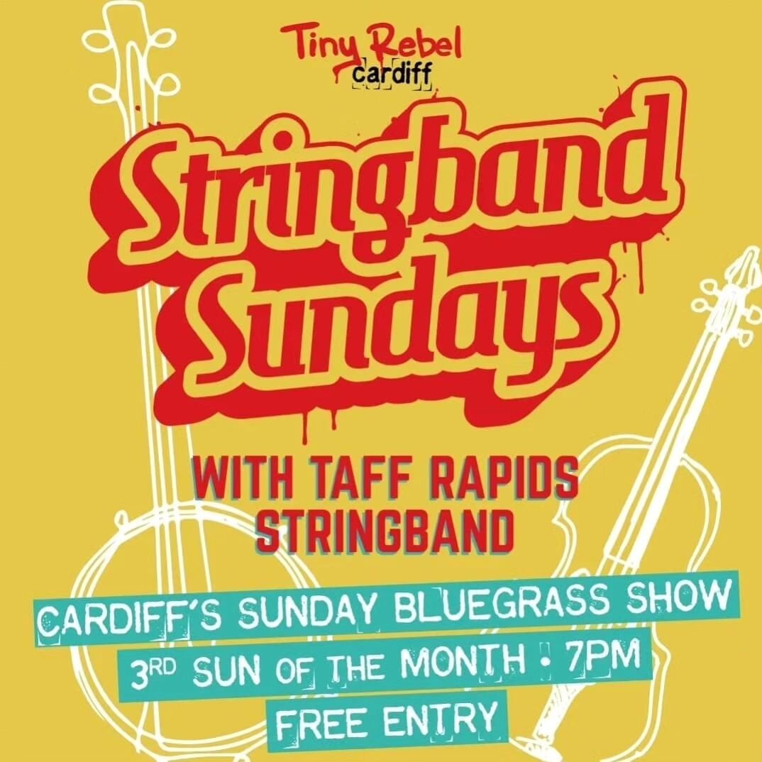 TAFF RAPIDS STRINGBAND