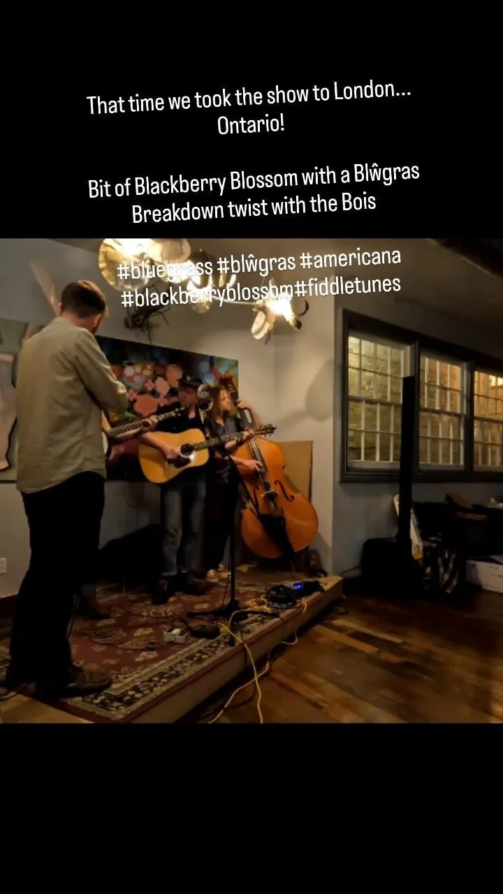 TAFF RAPIDS STRINGBAND