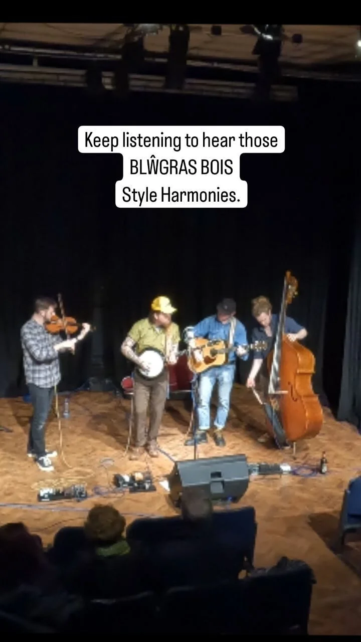 TAFF RAPIDS STRINGBAND