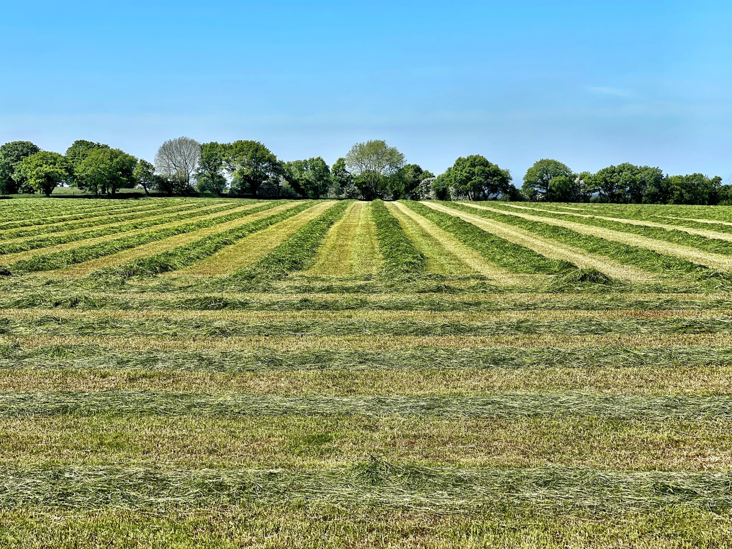 Executive vacancies - Cognisant search; recruitment; agency; jobs ...