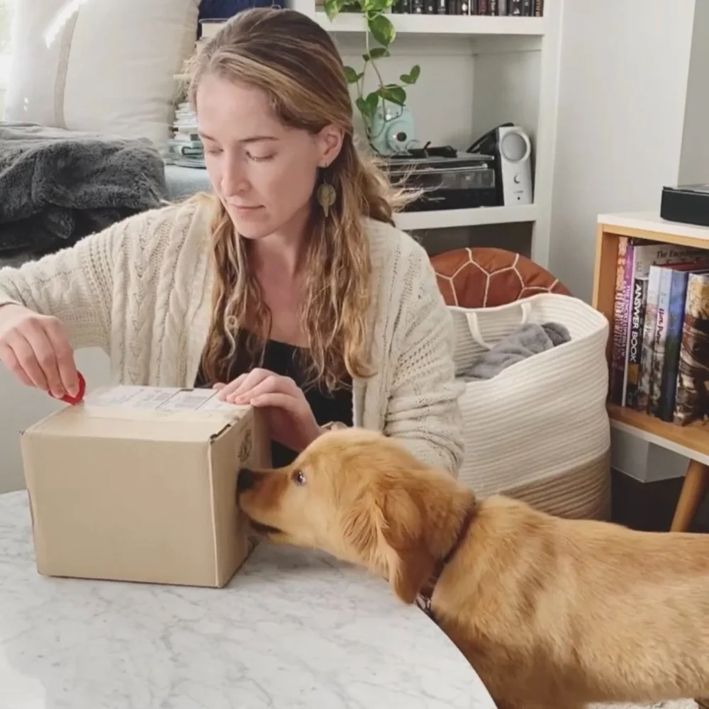 About & Contact — Katie Stack Illustrates