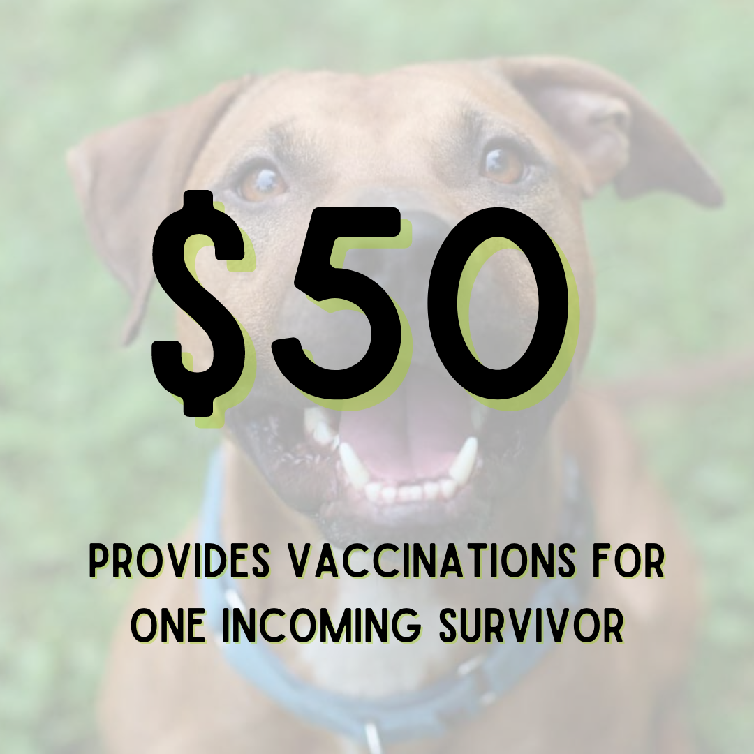 Donate Now! — Bark Nation