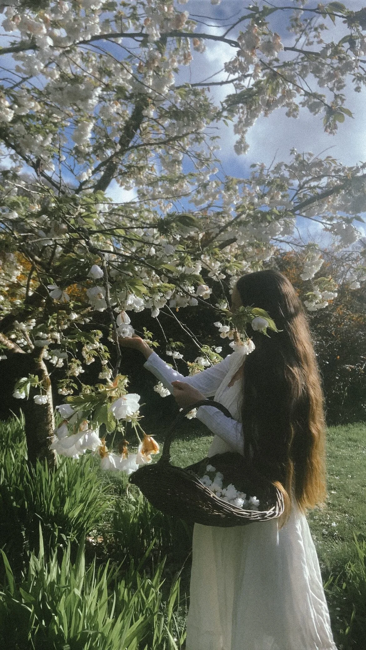 Moonlight Gardens Delicate Facial Serum — Daughters of Flowers