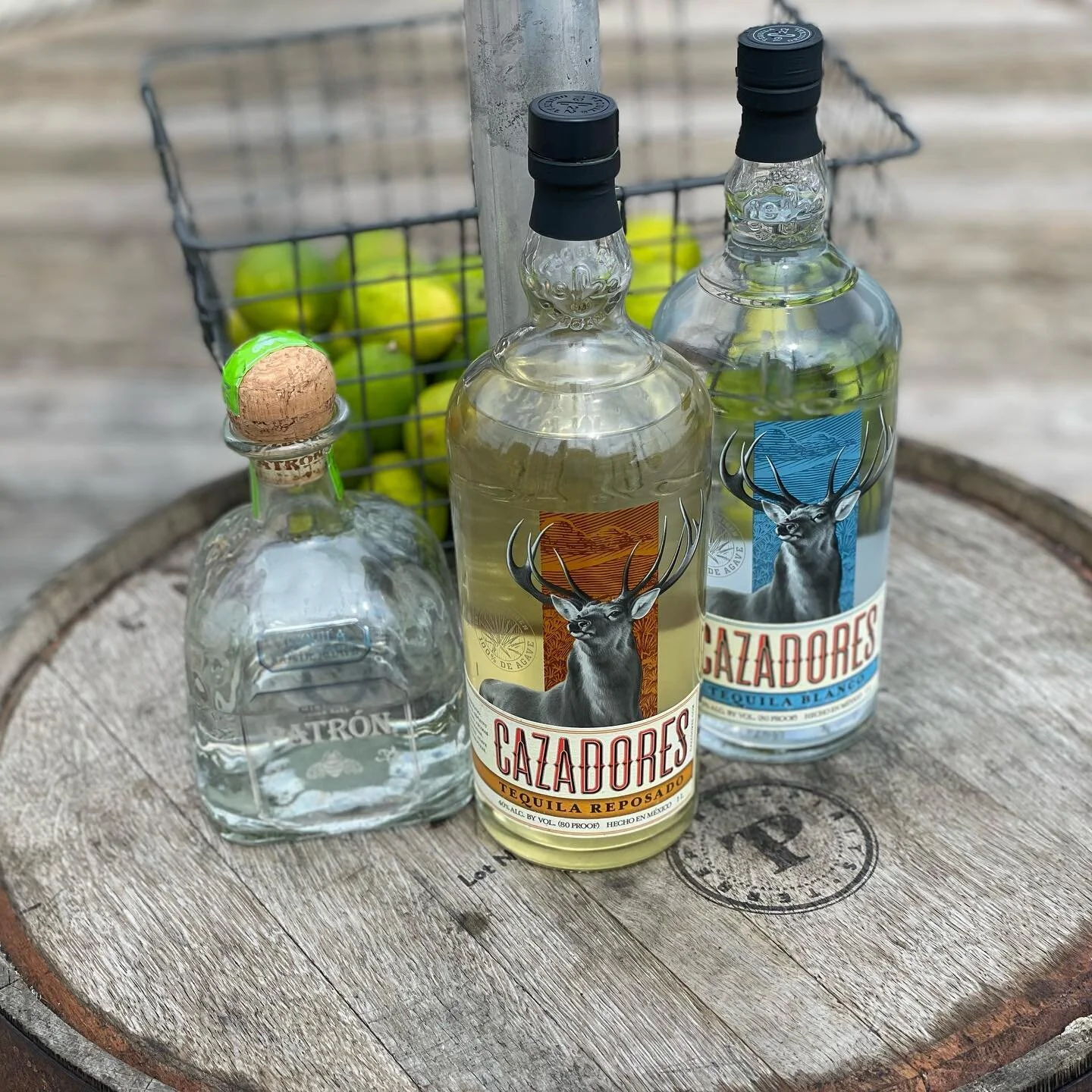 Gallery — Cobble Fish