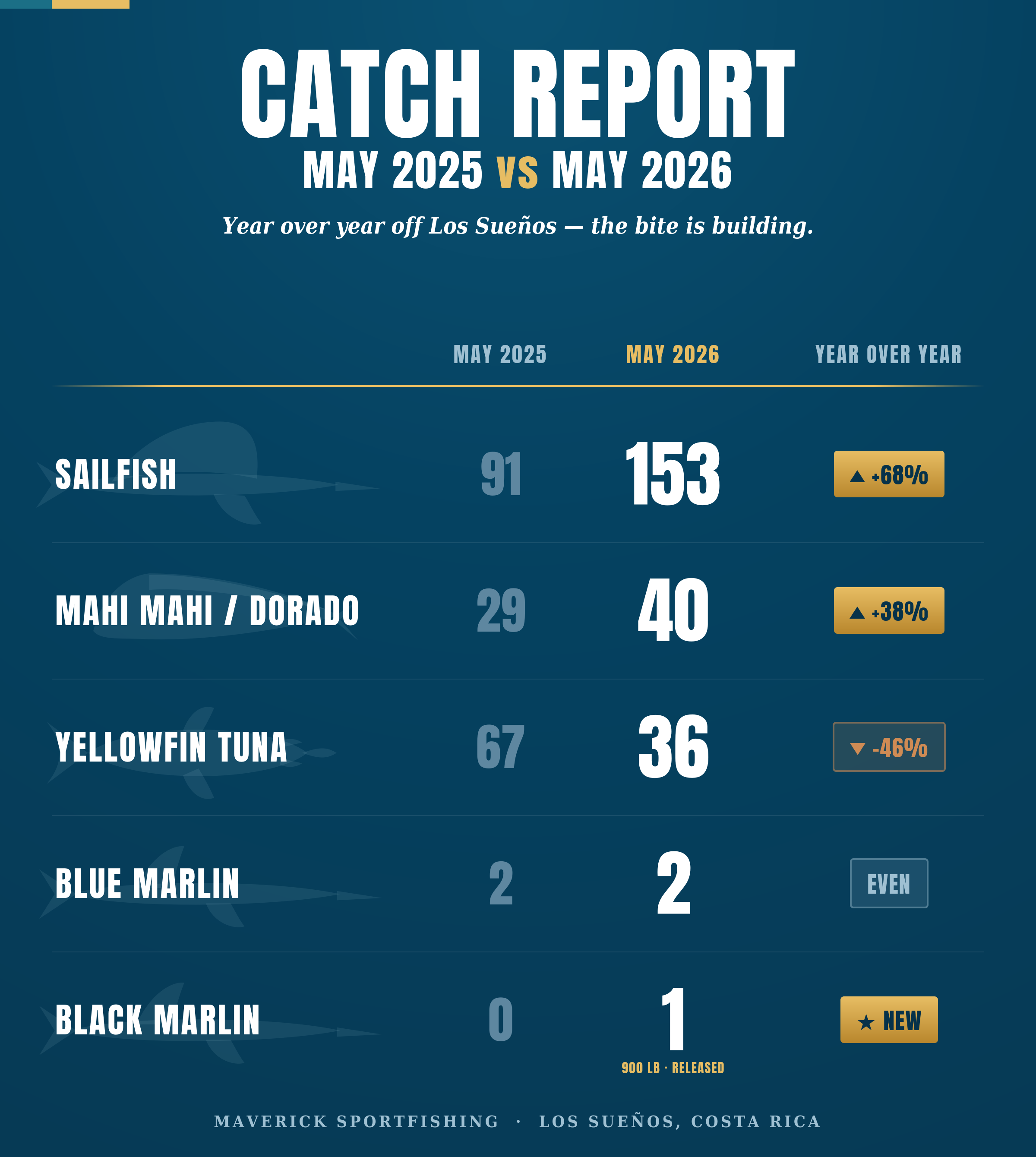 A 900-lb Black Marlin on the books! Maverick Sportfishing’s May 2026 ...