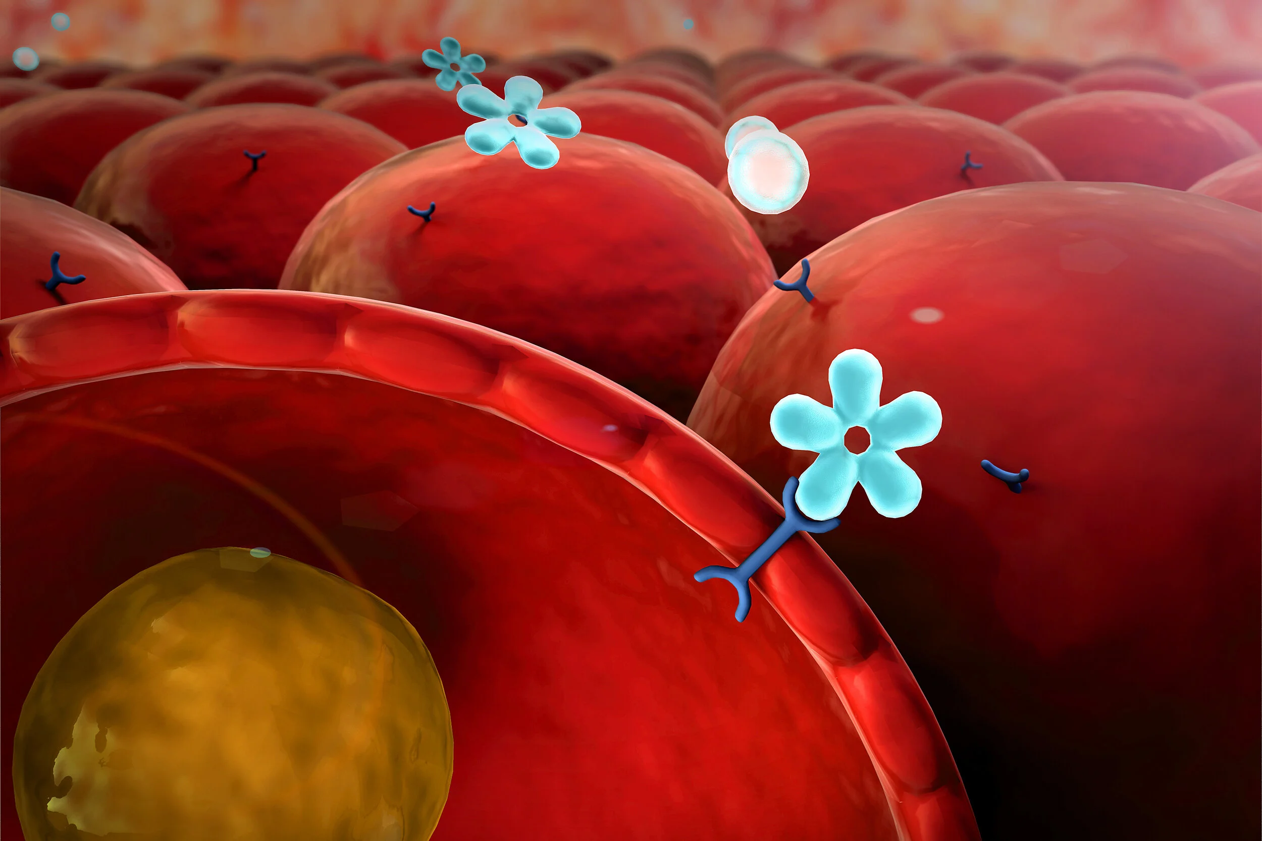 About — New Amsterdam Pharma