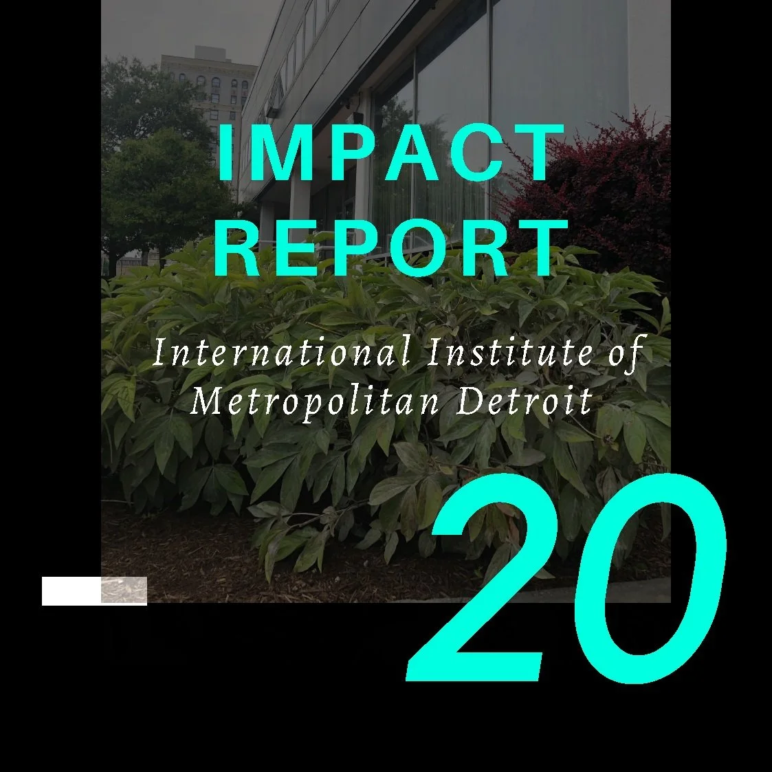 Programs Overview — International Institute of Metro Detroit