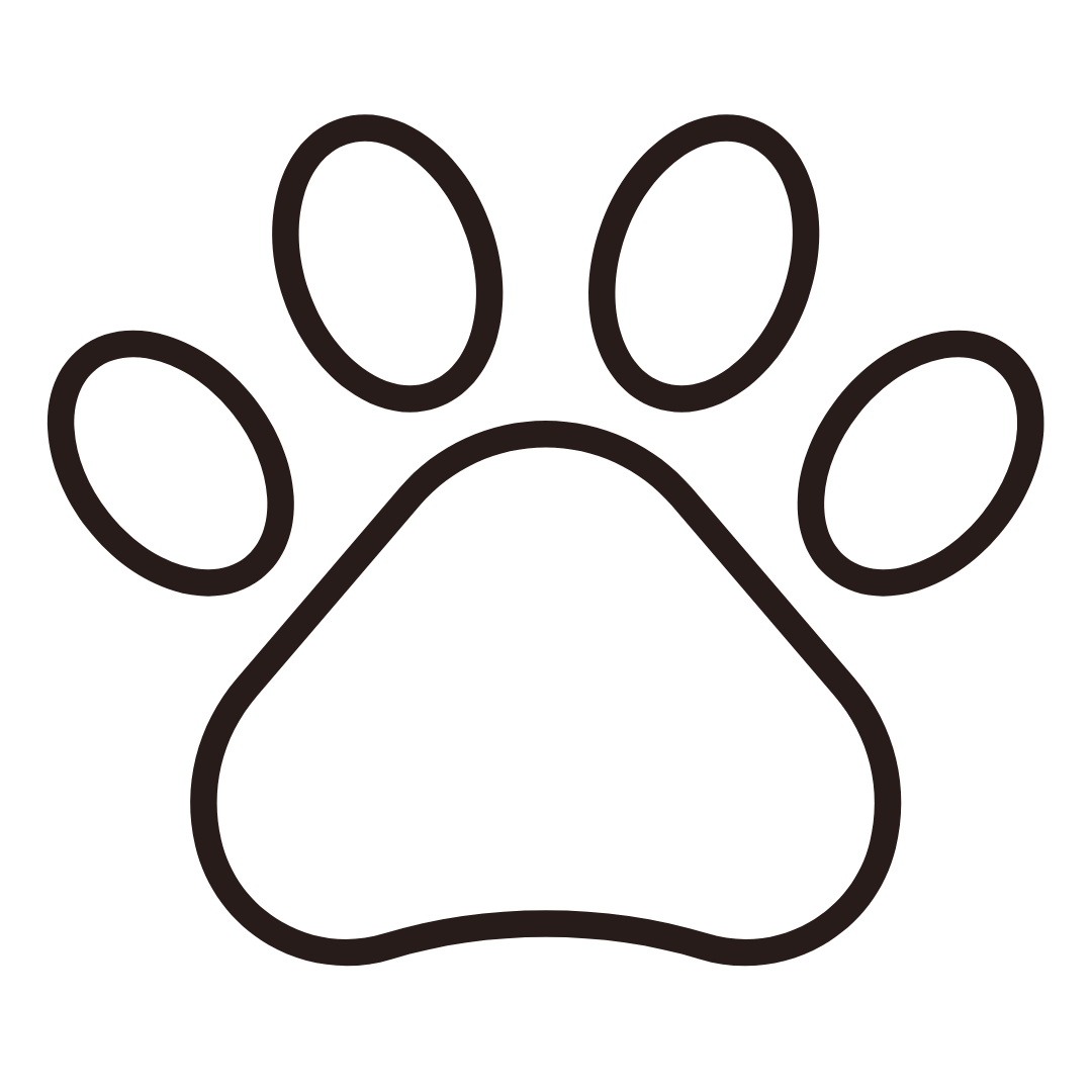 About us — Mona Pants