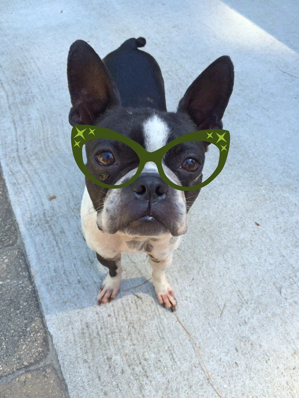 About us — Mona Pants