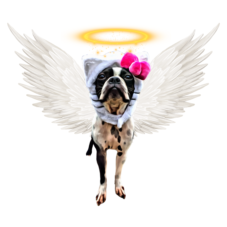 About us — Mona Pants