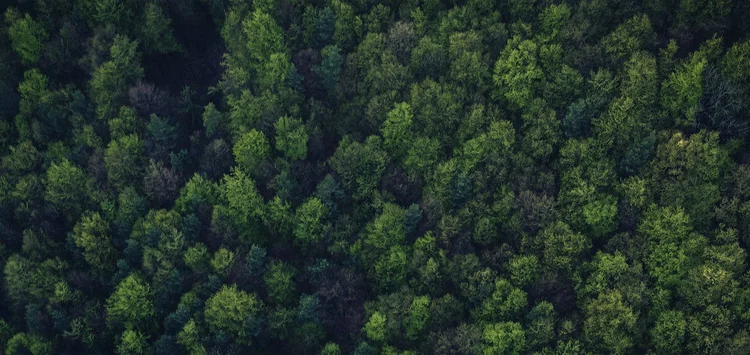 Nextar - Frameless Cabinets in the City of Industry, CA