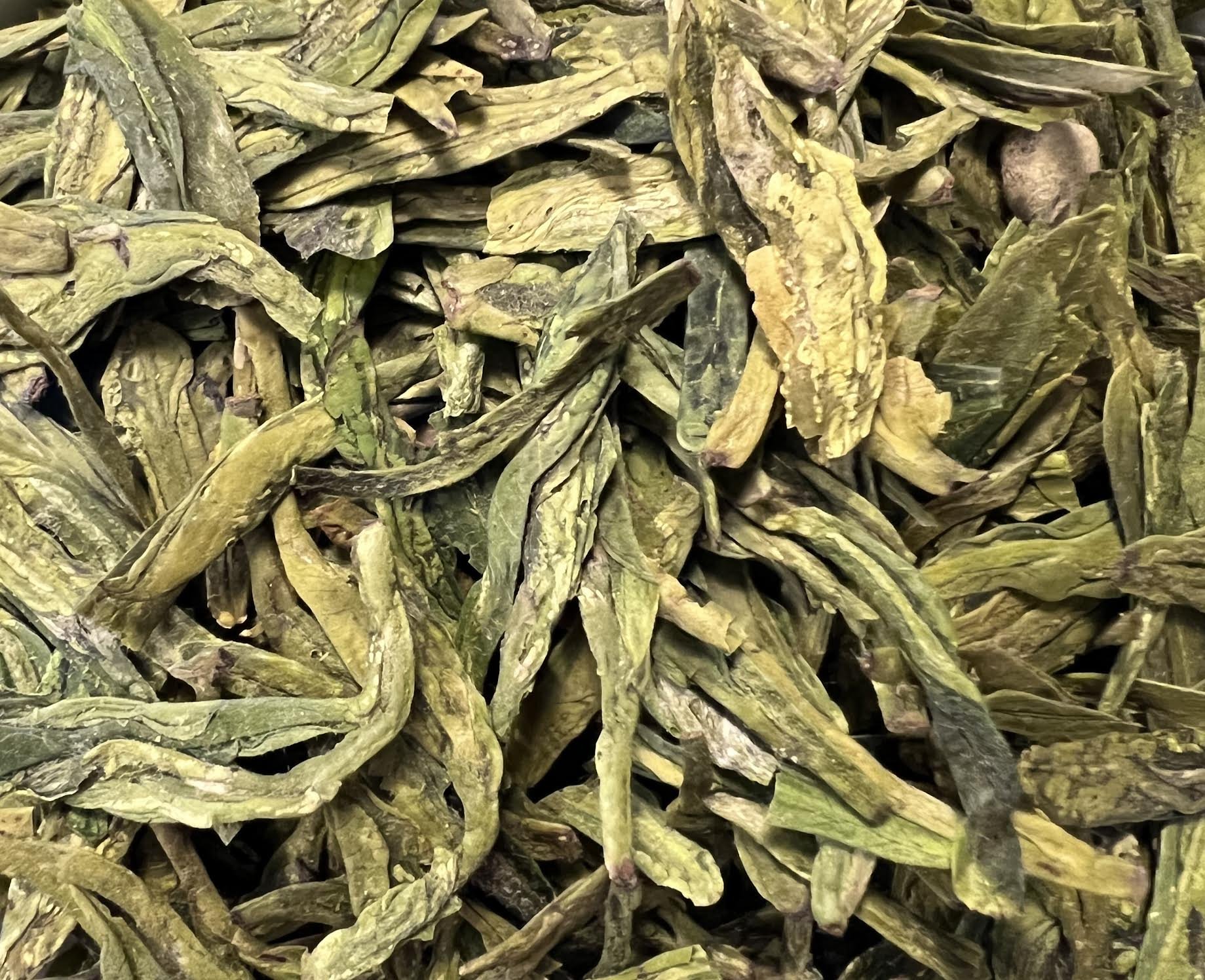 Dobra Tea Asheville North Carolina