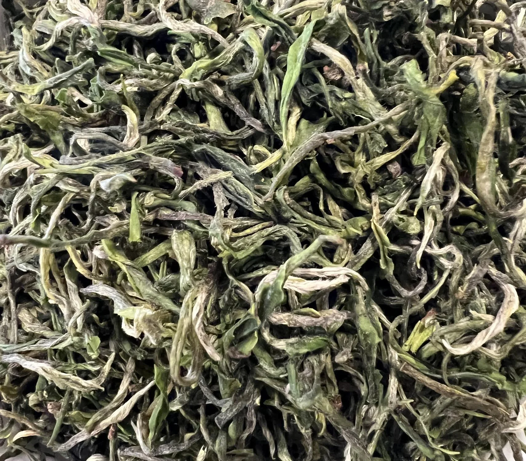 Dobra Tea Asheville North Carolina