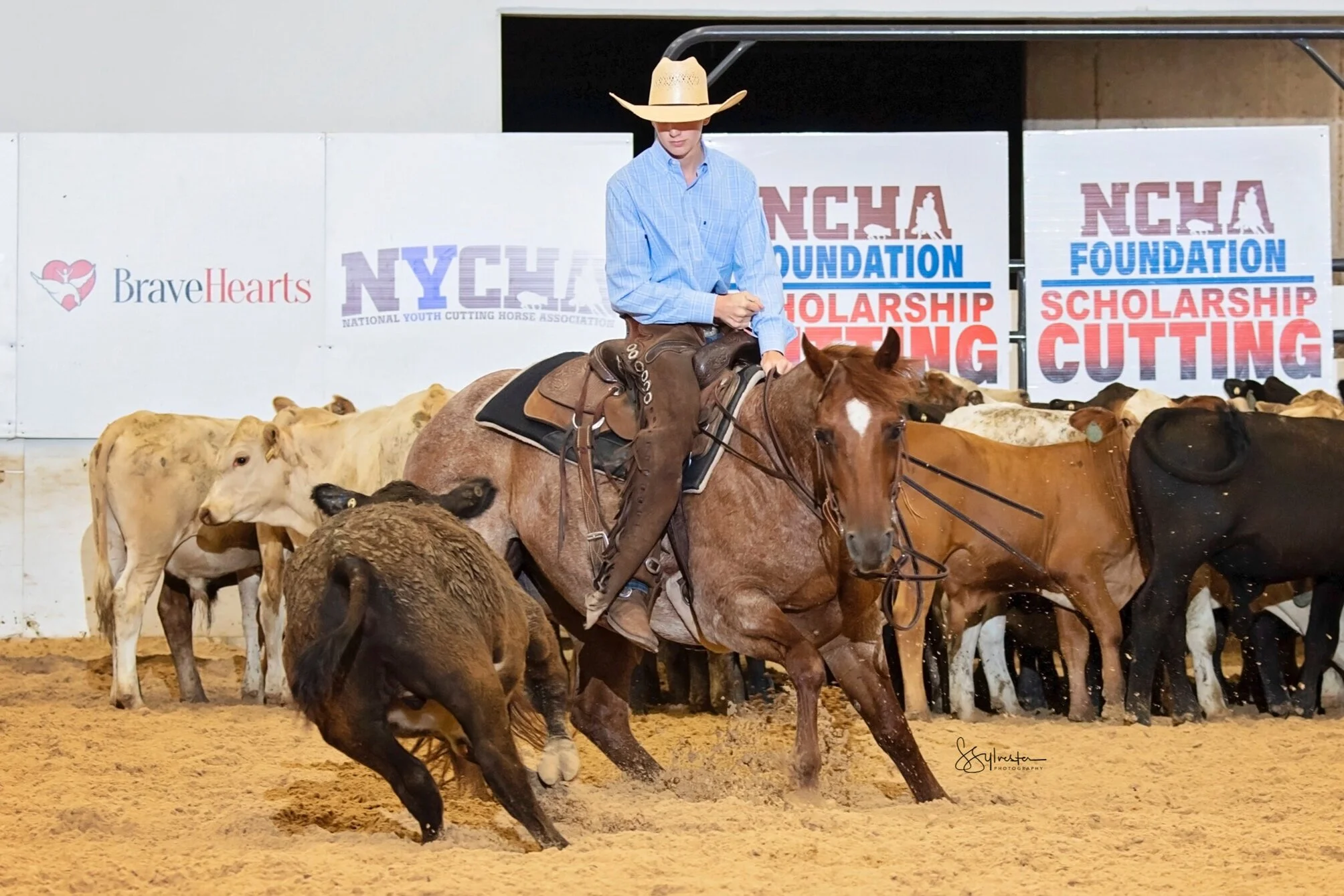 Our Mission — NCHA Foundation