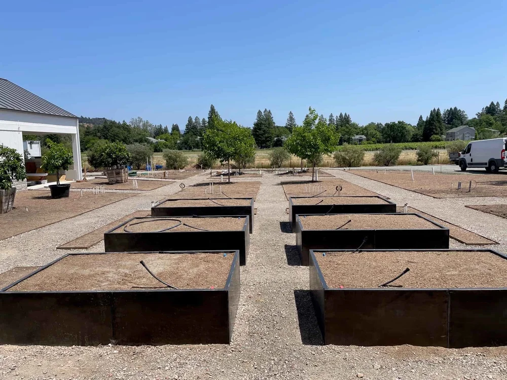 4 Different Types of Planters (2023 Gardening Guide) — Avidon Design