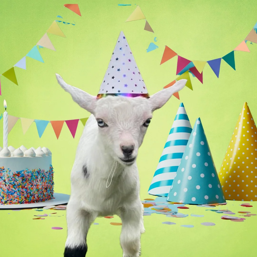 Parties at the goat ranch — 901Goats from Walkapony Goat Ranch