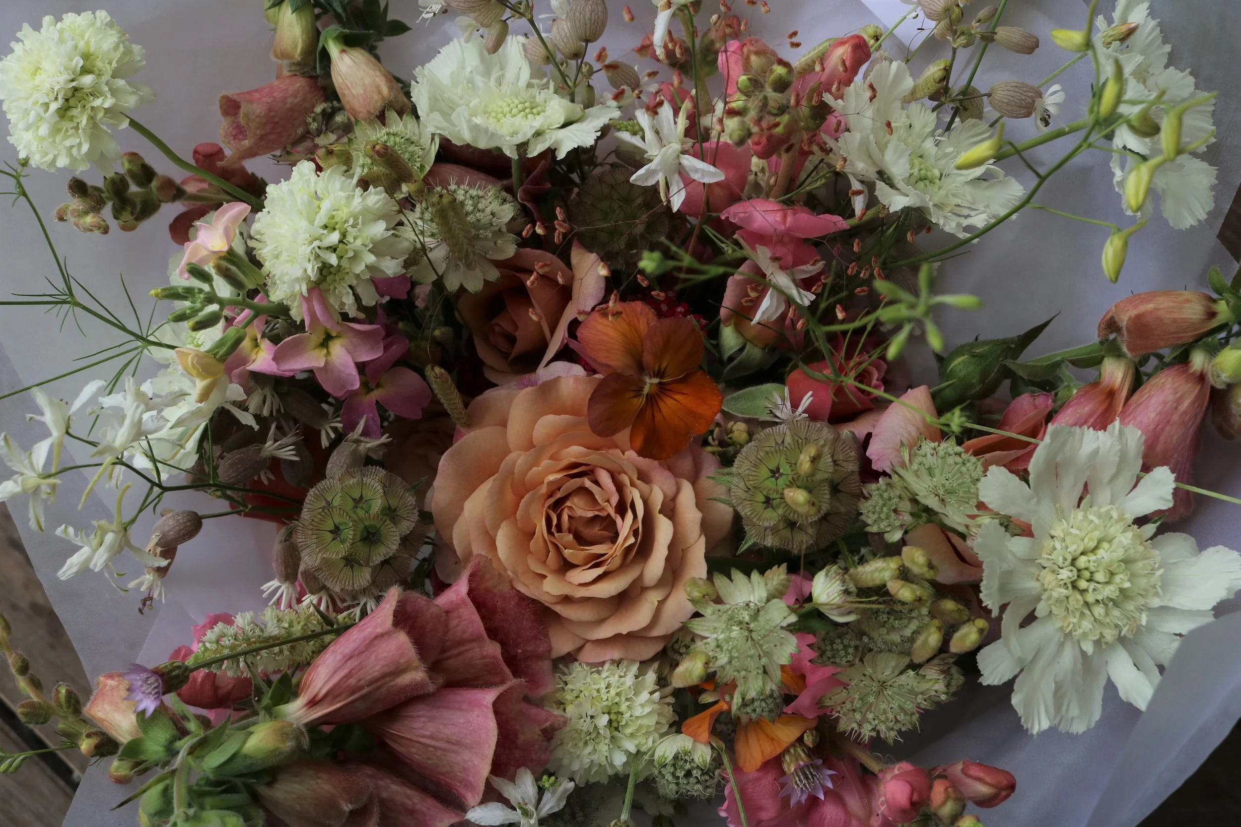 General 5 — Flora Forms