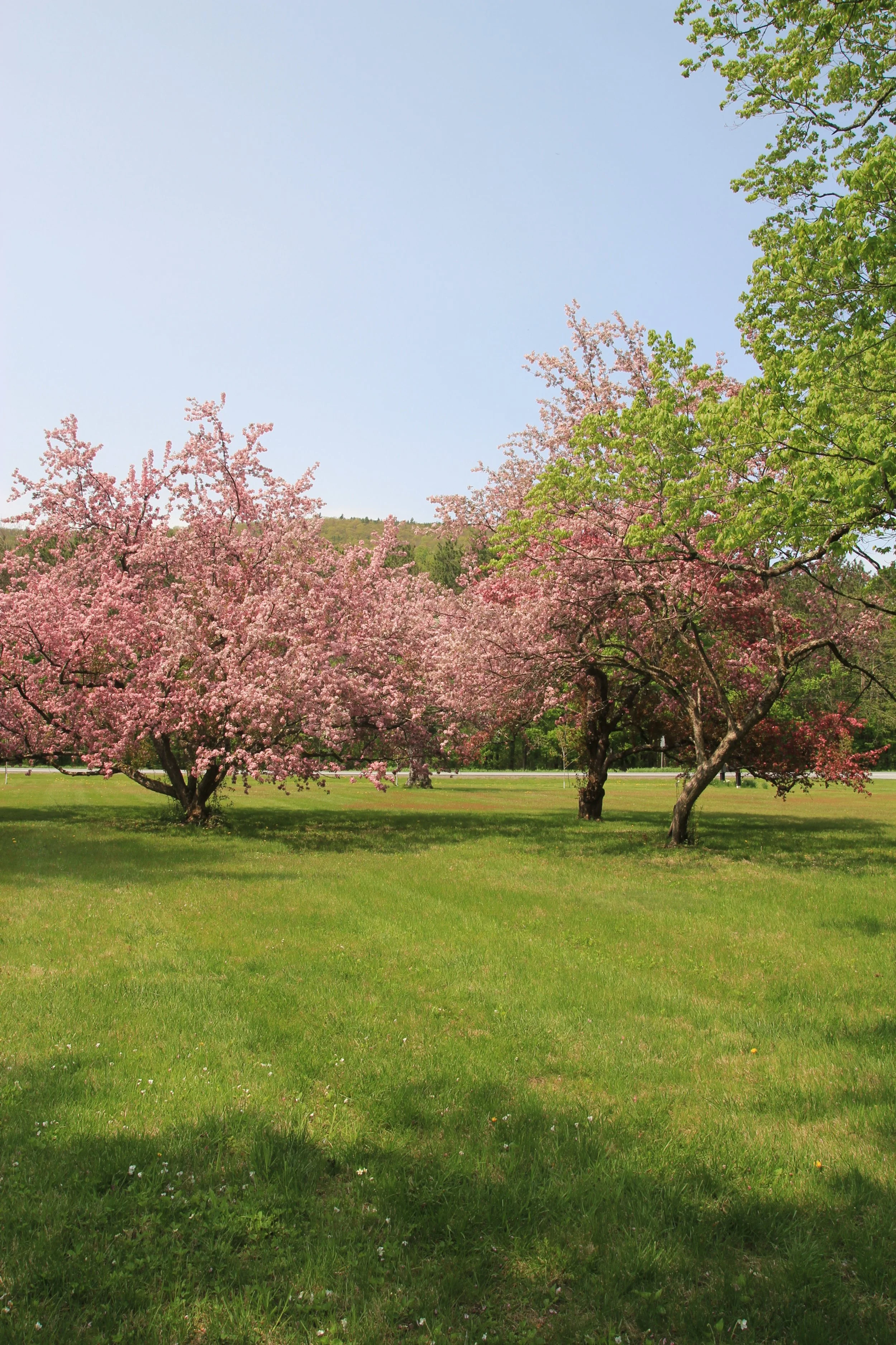 wedding gallery — the tillerman