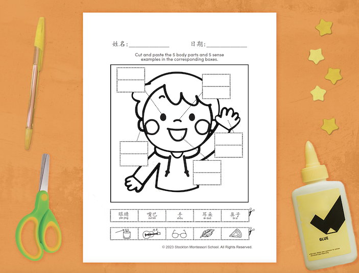 Free Bilingual Worksheets & Activities — Stockton Montessori School