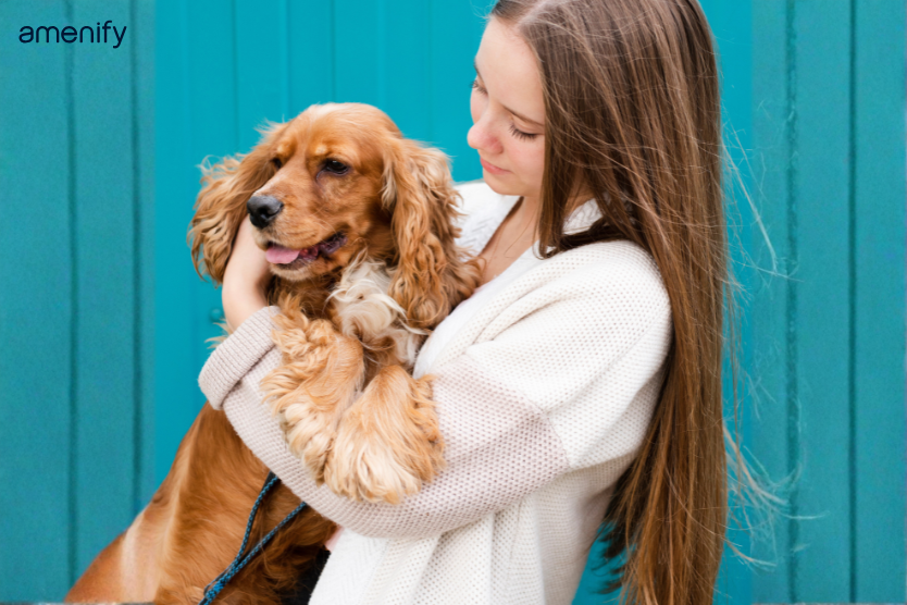 Affordable Pet Care Tips for Happy, Healthy Pets — Amenify