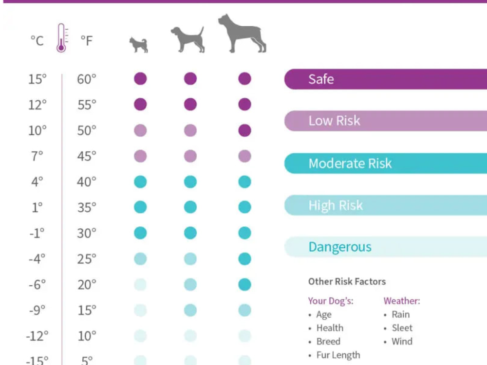 Dog Walk Temperature Chart 7 Shocking Secrets — Amenify