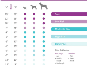 Dog Walk Temperature Chart 7 Shocking Secrets — Amenify
