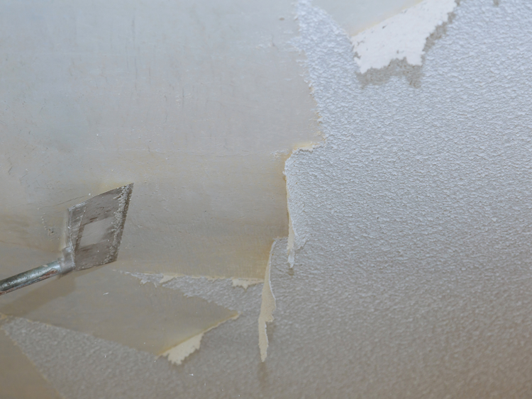 How to Clean Popcorn Ceiling? — Amenify
