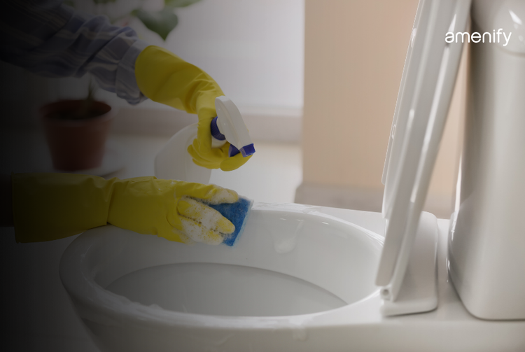 The Ultimate Toilet Cleaning Guide: Best DIY Tips, Eco-Friendly Hacks ...
