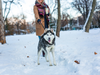 Dog Walk Temperature Chart 7 Shocking Secrets — Amenify