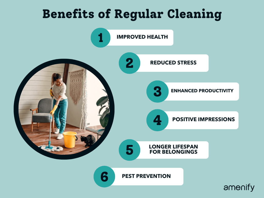 Regular Cleaning vs Deep Cleaning: What's the Difference? — Amenify