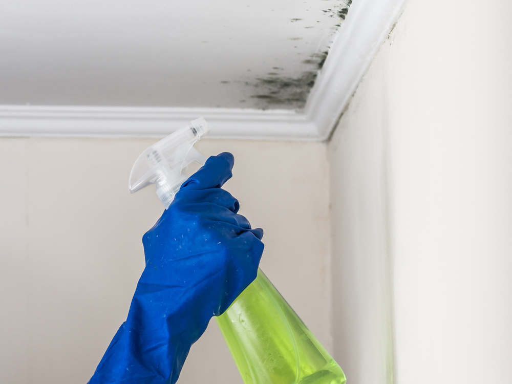How to Clean Popcorn Ceiling? — Amenify