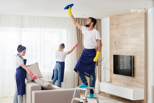 Why Standard Cleaning Services Are Essential for a Clean, Healthy Home ...