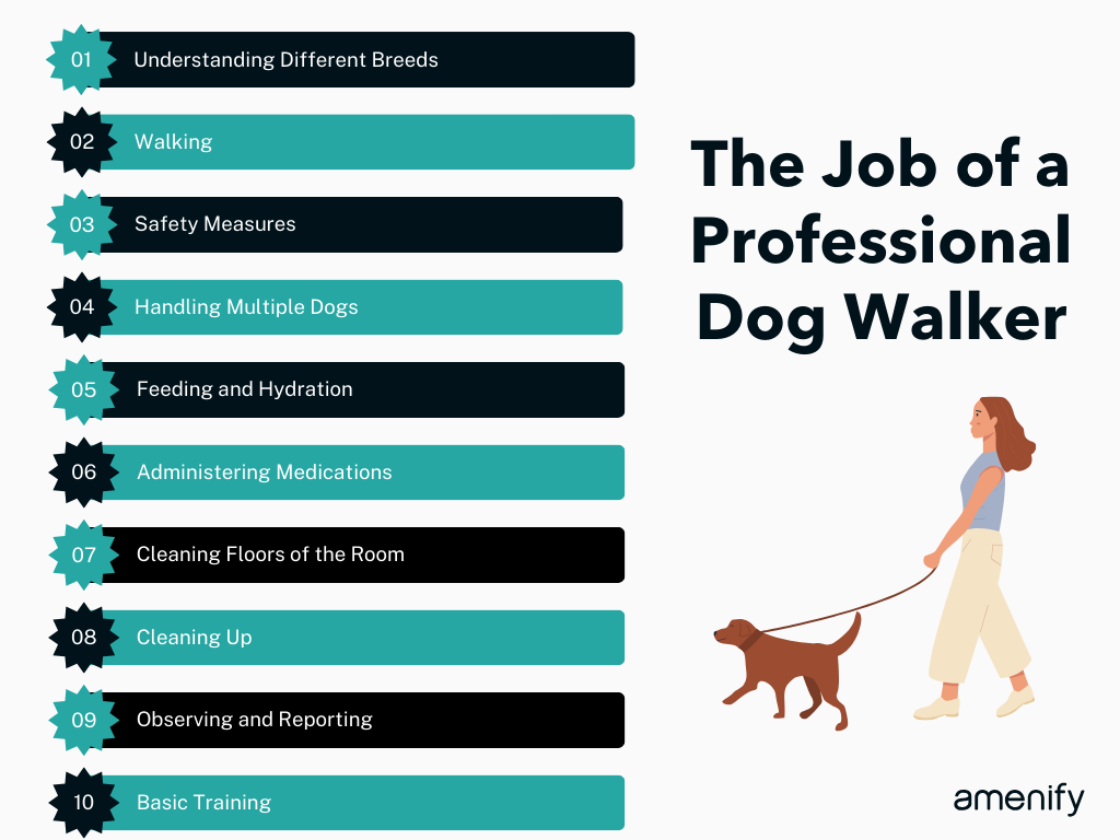 How To Find Best Dog Walker App Near me? — Amenify
