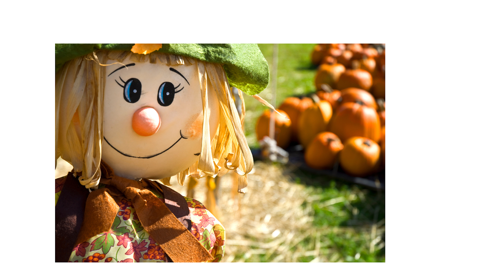 10 Fun Fall Activities to do With Your Pet — Amenify