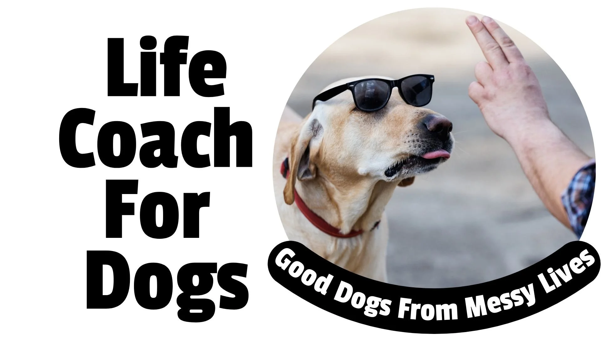 Life Coach For Dogs