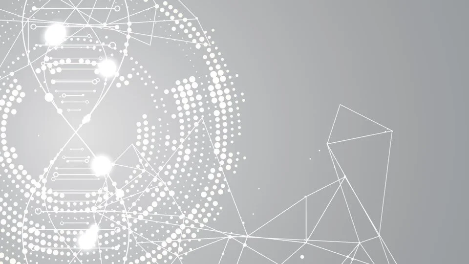 Workforce Ancillary Management