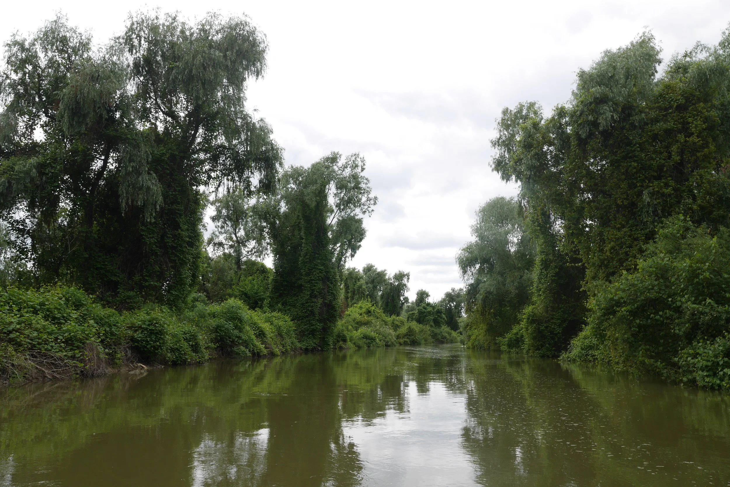 Atrium Environmental