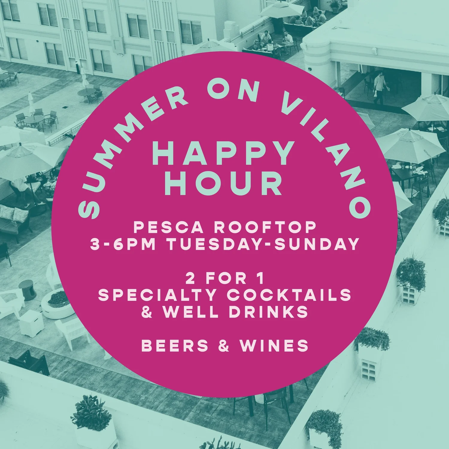 Rooftop Kitchen and Bar — Pesca Vilano