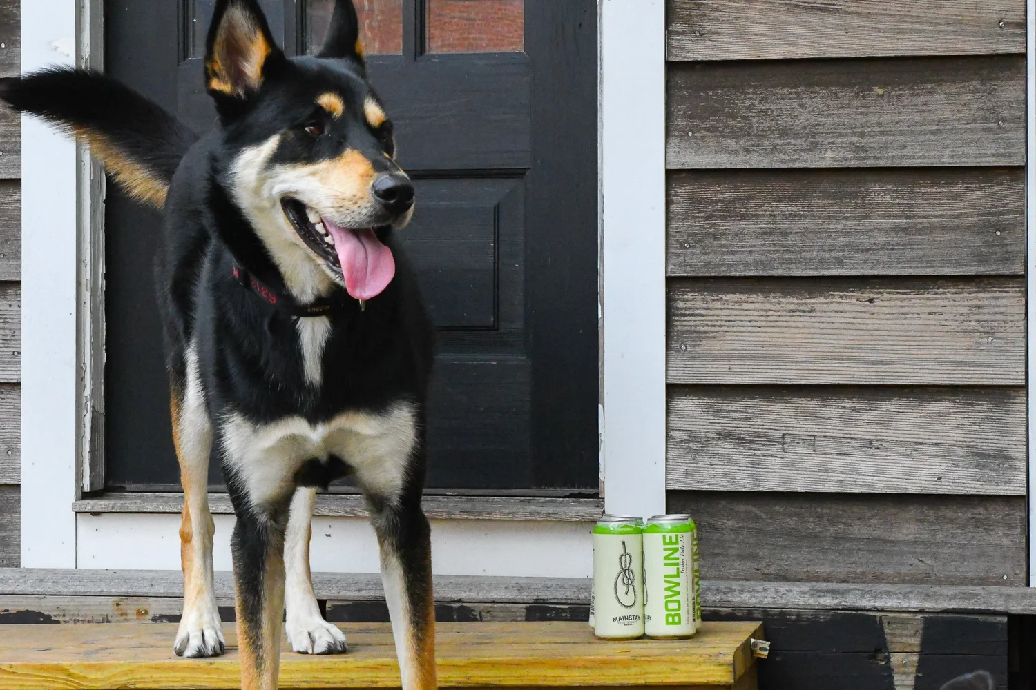 Unleashed — Craft Hall | A Family Friendly Sports Bar