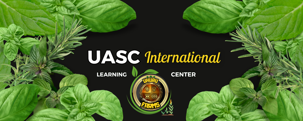 UASC International Learning Center
