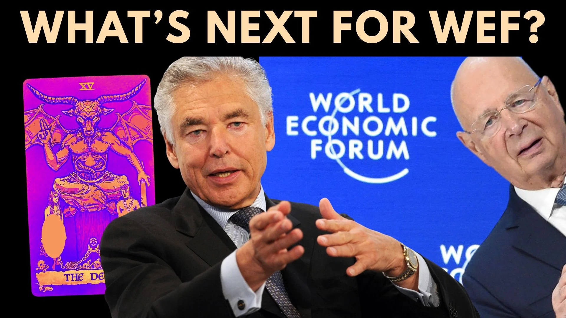 Moon Moth Manor Tarot Readings — Alycia Wicker